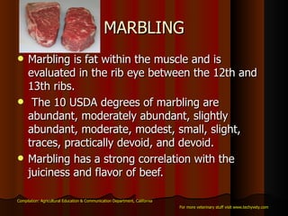 Carcass grading | PPS