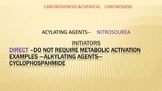 Carcinogen Examples