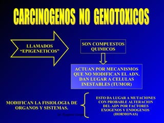 Carcinogenesis | PPT