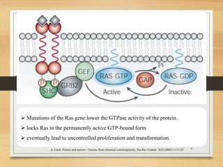 Carcinogenesis | PPTX