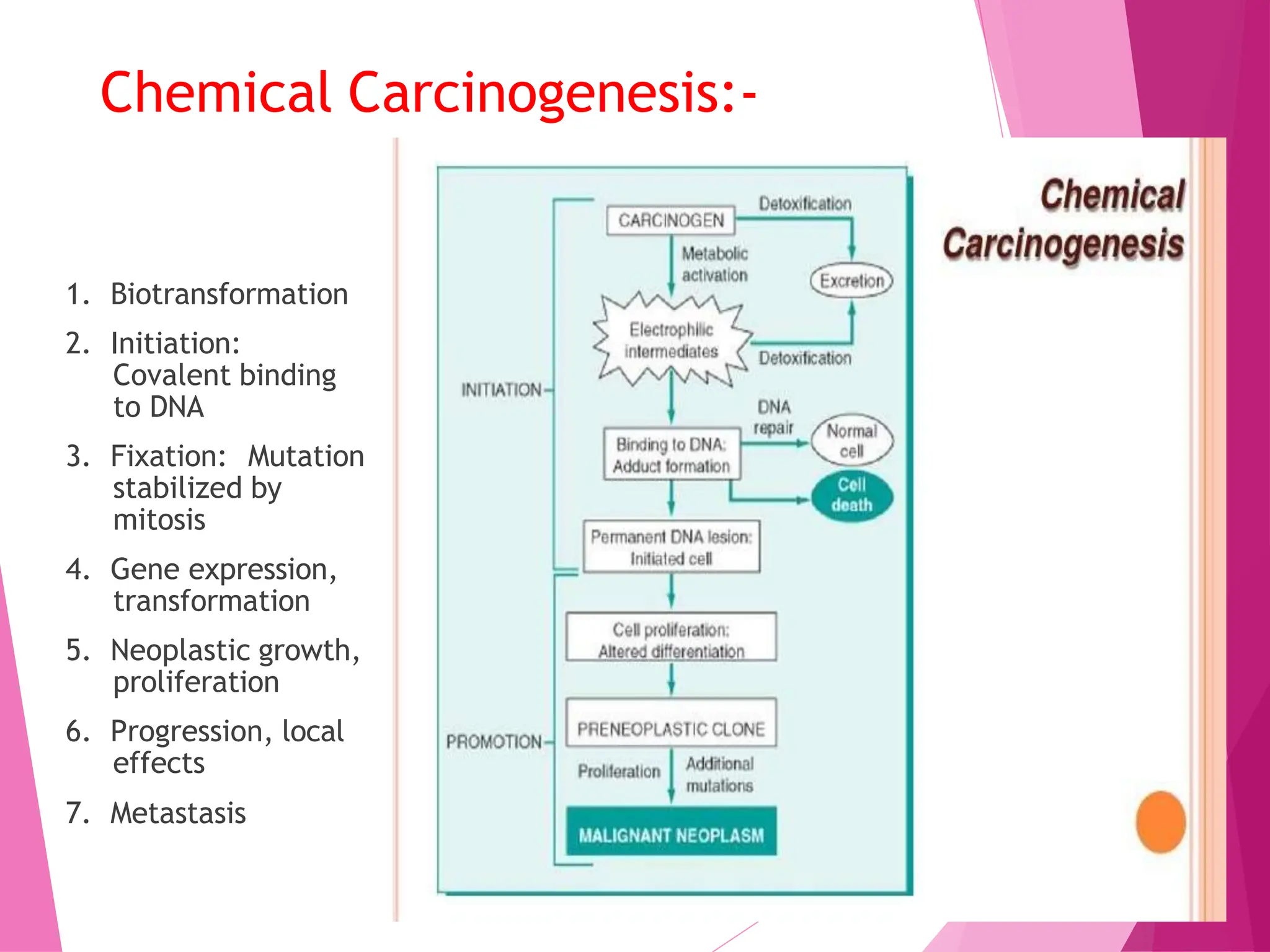 carcinogenesis-181202174606.pptx