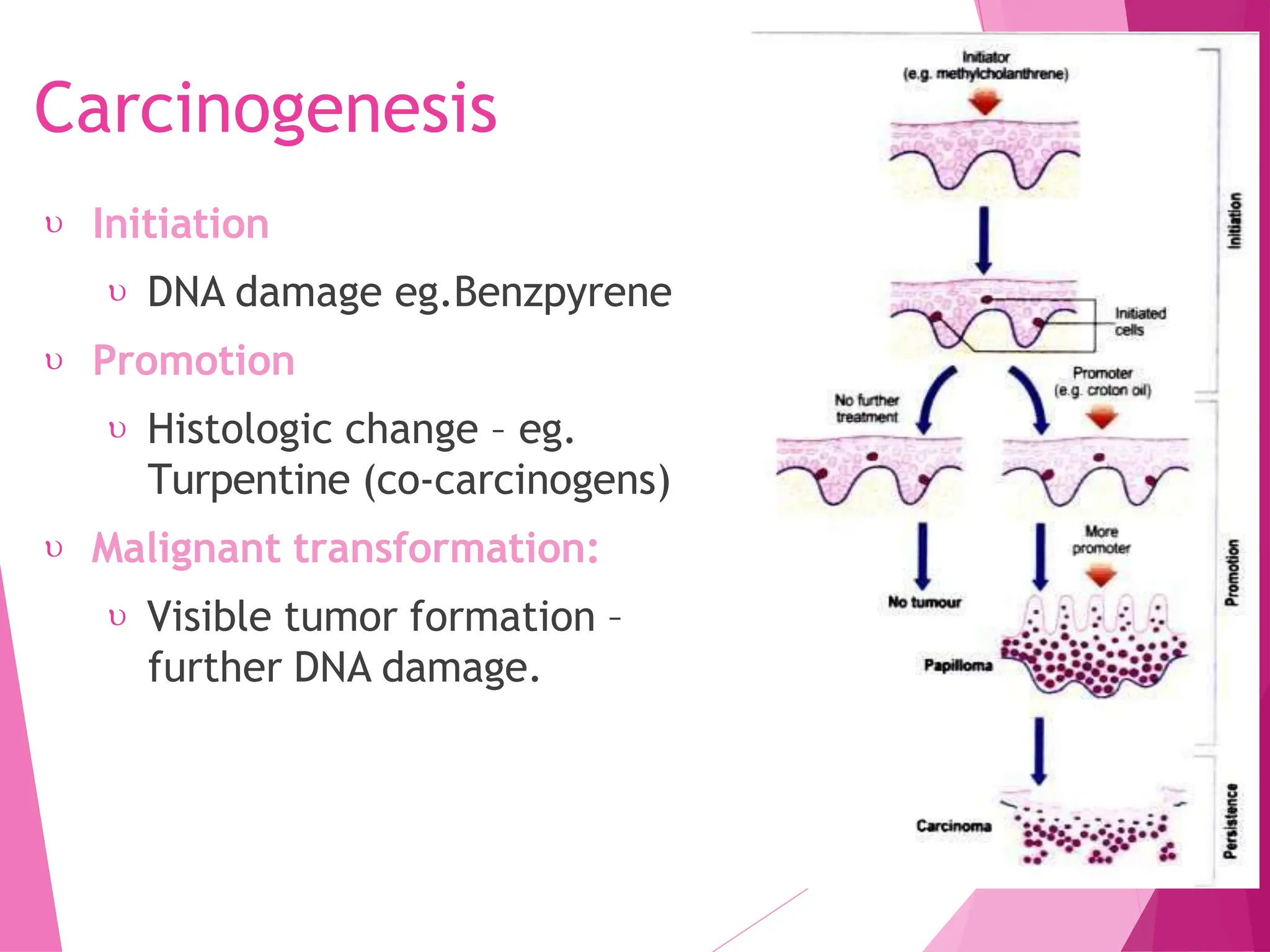 carcinogenesis-181202174606.pptx