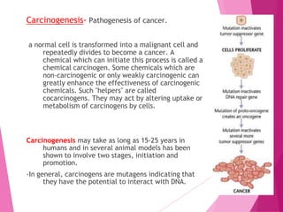 carcinogenesis-181202174606.pptx