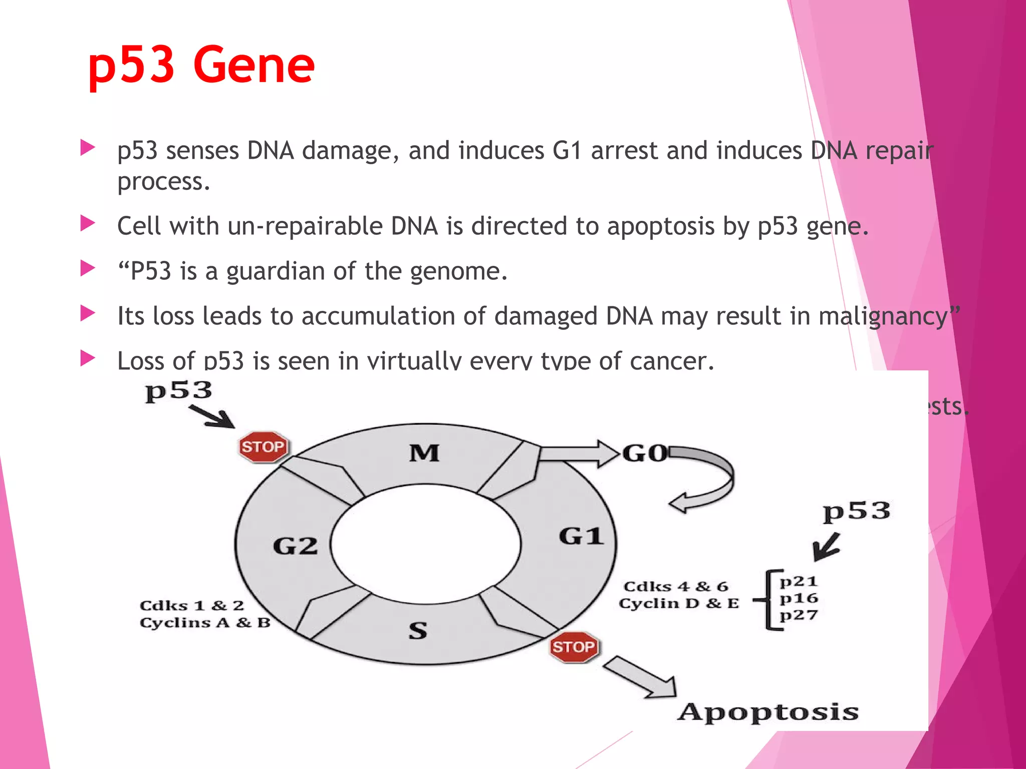 Carcinogenesis | PPT