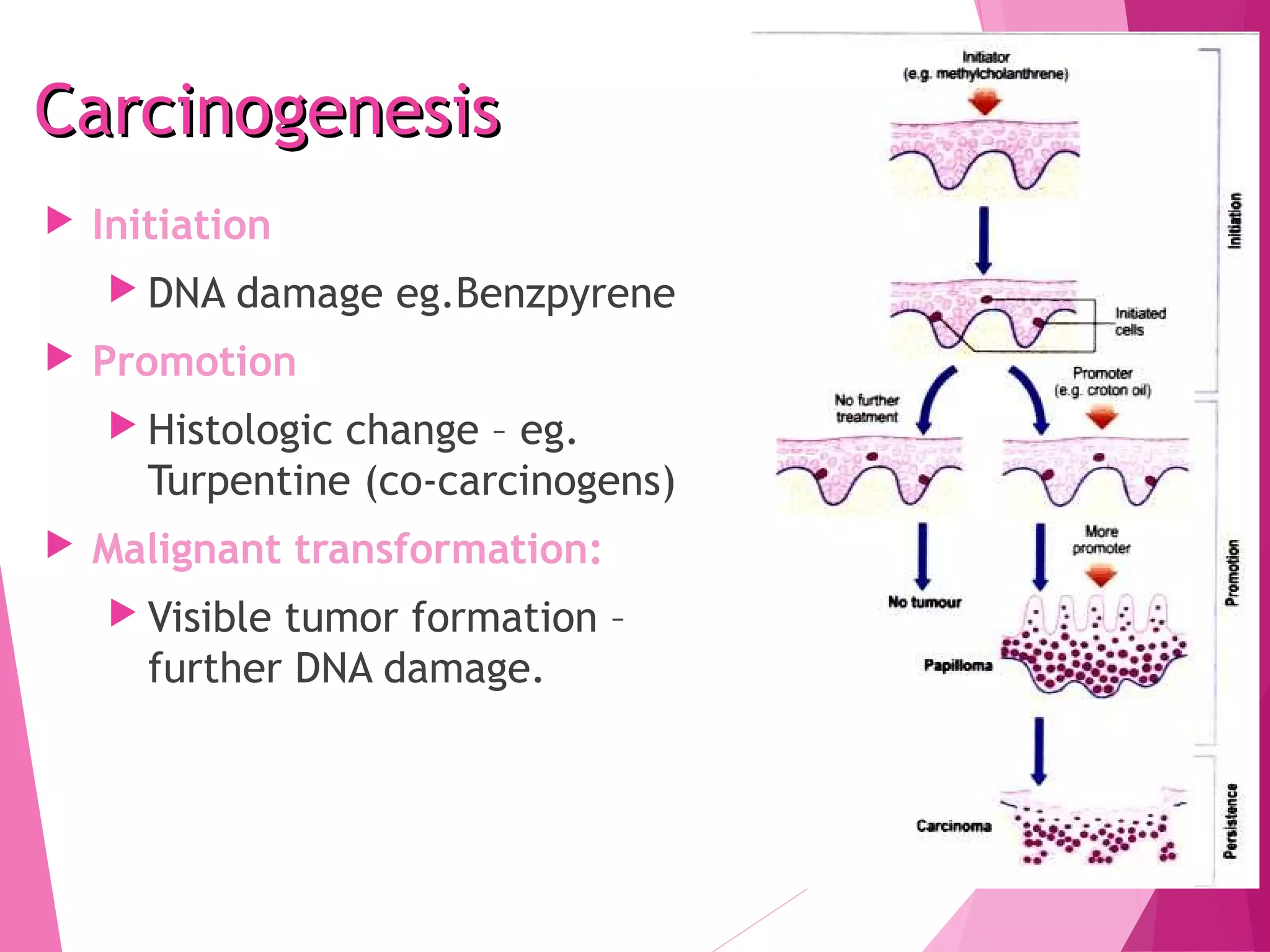 Carcinogenesis | PPT