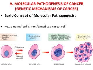 Carcinogenesis | PPTX