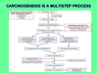 Carcinogenesis | PPT