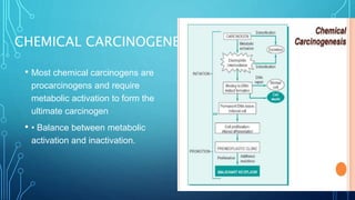 Carcinogenesis :.pptx