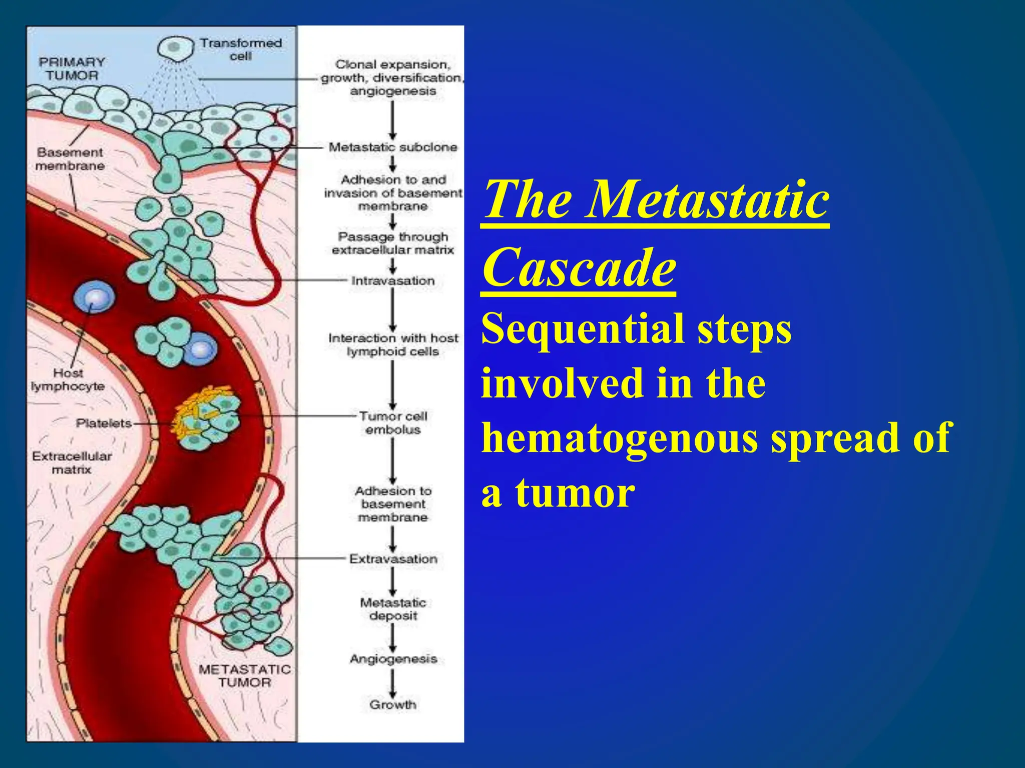 carcinogenesis -origin of cancer, pathogenesis, mutation.pptx