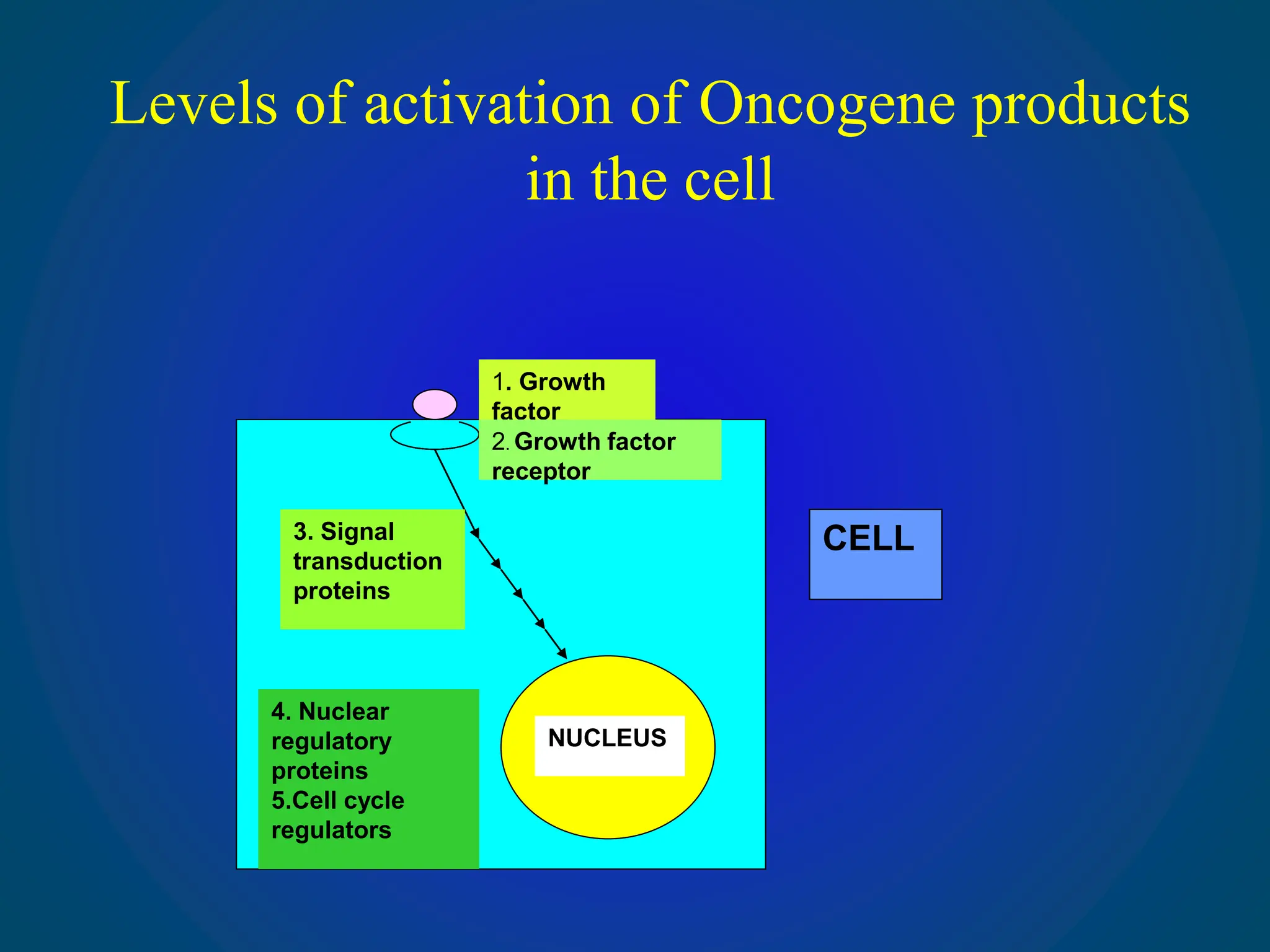 carcinogenesis -origin of cancer, pathogenesis, mutation.pptx