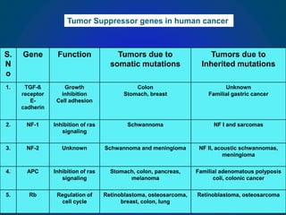 carcinogenesis -origin of cancer, pathogenesis, mutation.pptx