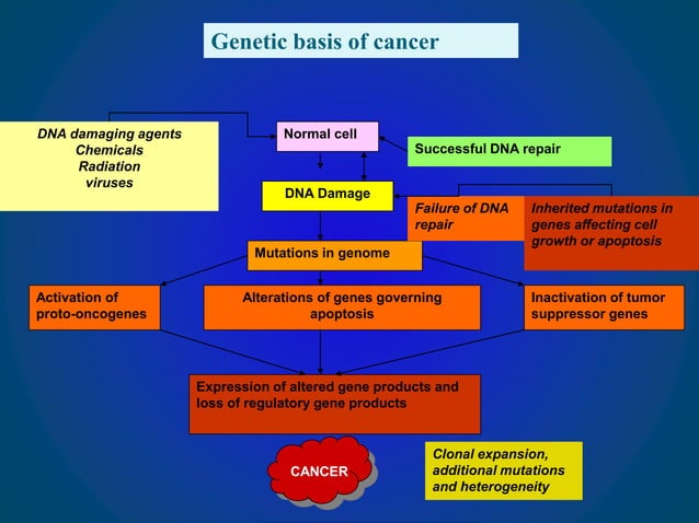 carcinogenesis -origin of cancer, pathogenesis, mutation.pptx