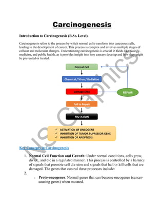 Carcinogenesis at B.Sc. Level Intro & Agents Promote Carcinogenesis | PDF