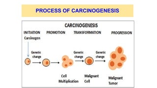 Carcinogenesis and mechanism of cancer -.pptx