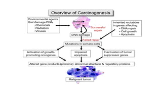 Carcinogenesis and mechanism of cancer -.pptx