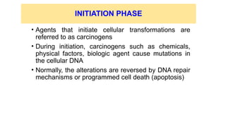 Carcinogenesis and mechanism of cancer -.pptx