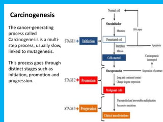 A presentation on Carcinogens | PPTX