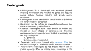 CARCINOGENESIS TRANSPLACENTAL CARCINOGENESIS | PPTX | Cancer | Diseases ...