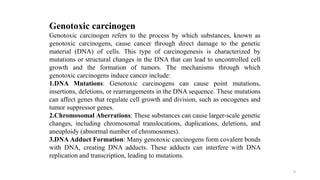 CARCINOGENESIS TRANSPLACENTAL CARCINOGENESIS | PPTX