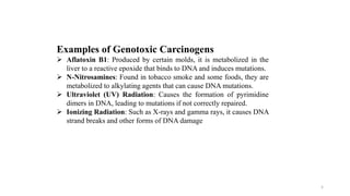 CARCINOGENESIS TRANSPLACENTAL CARCINOGENESIS | PPTX