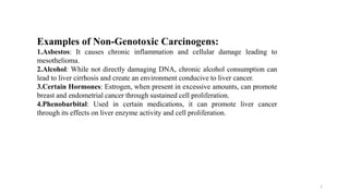 CARCINOGENESIS TRANSPLACENTAL CARCINOGENESIS | PPTX