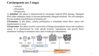 CARCINOGENESIS TRANSPLACENTAL CARCINOGENESIS | PPTX | Cancer | Diseases ...