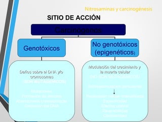 Carcinogénesis toxicologia | PPT