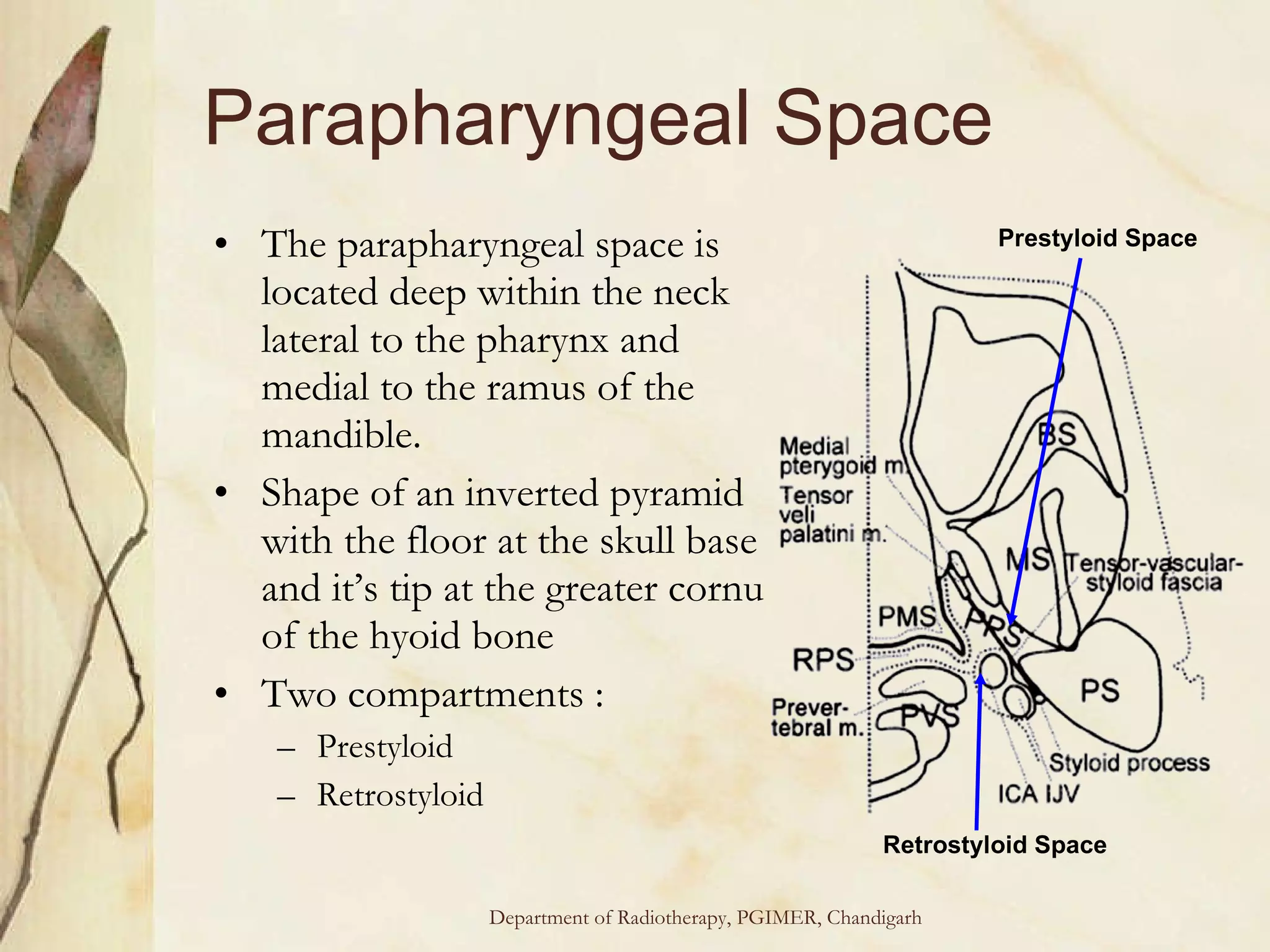 Carcinoma Nasopharynx | PPT