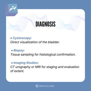 Carcinoma Bladder - DIBS By Nextillo.pdf