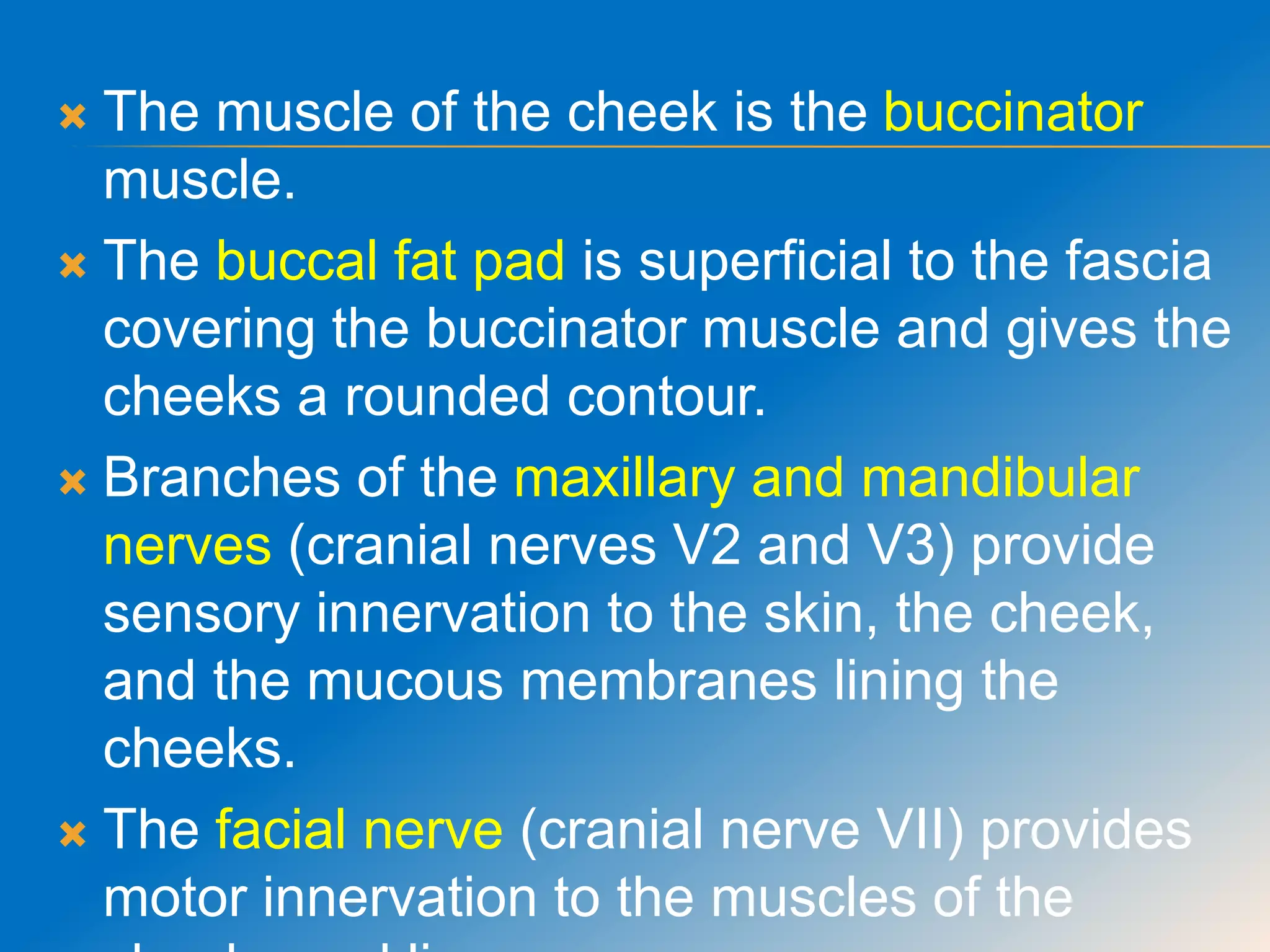 Carcinoma buccal mucosa | PPTX