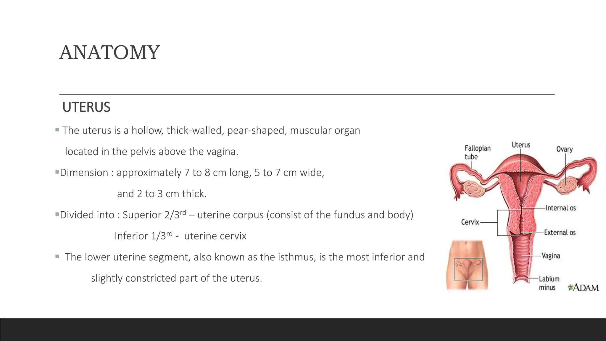 Carcinoma Cervix-FOR MBBS/RT STUDENTS/RT TECHNOLOGISTS | PPT