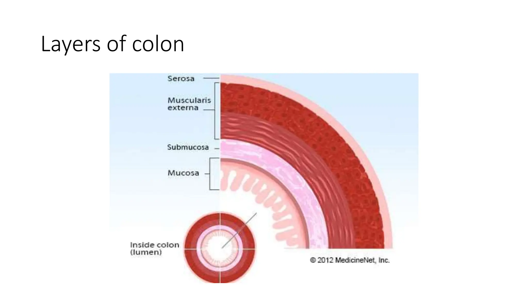 Carcinoma Colon presentation for surgery | PPTX