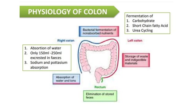 Carcinoma Colon presentation for surgery | PPTX