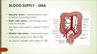 CARCINOMA COLON | PDF