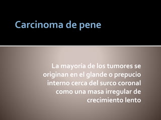 Carcinoma de pene | PPTX