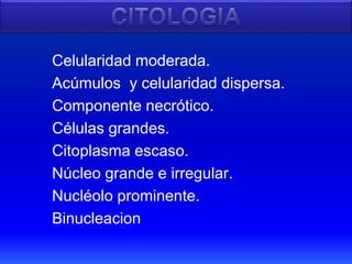 Carcinoma embrionario | PPTX