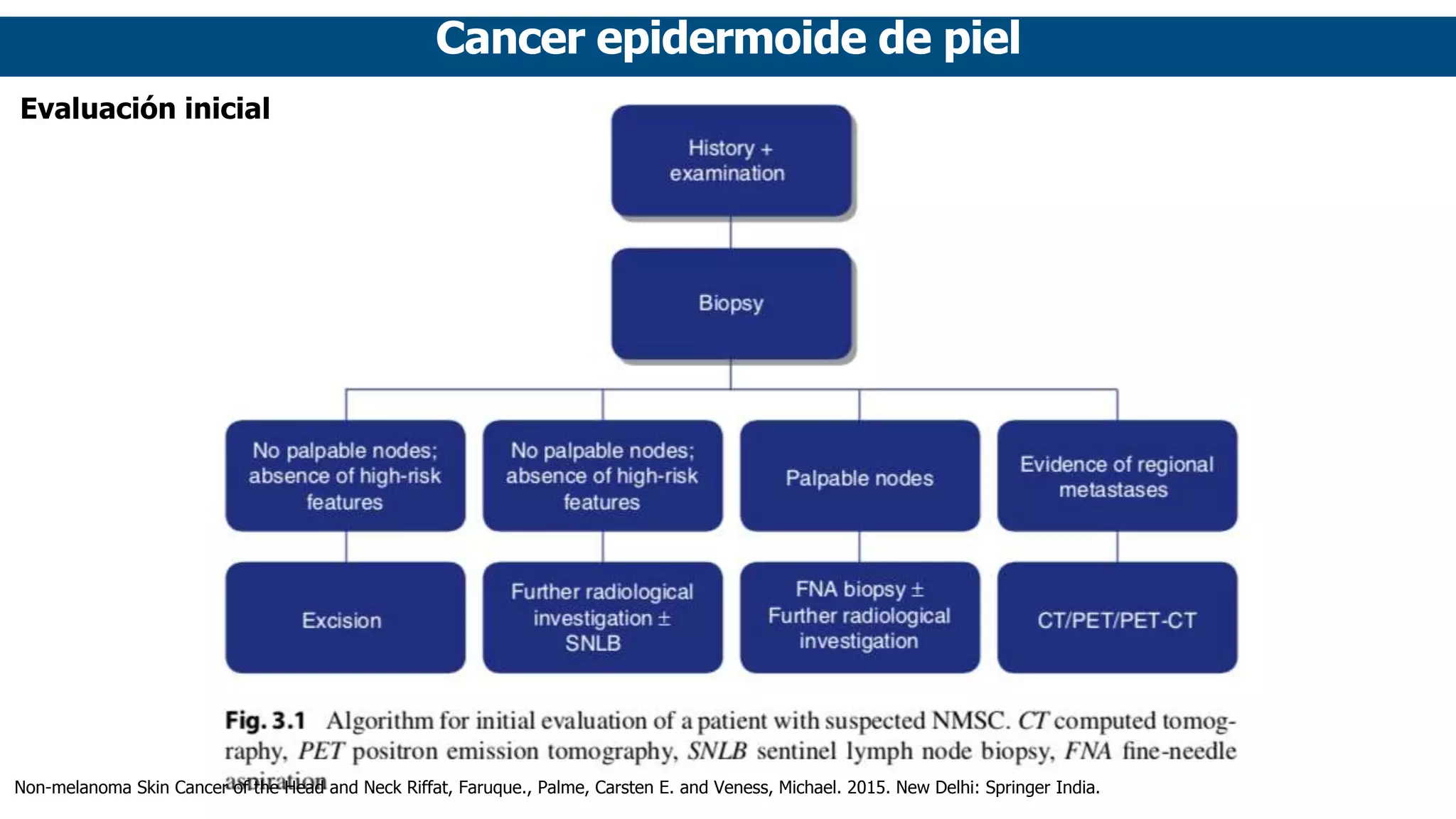 Carcinoma epidermoide de piel | PPTX | Skin and Dermatology | Diseases ...