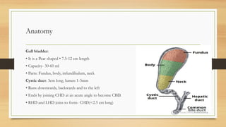 Carcinoma Gall Bbladder,introduction,pathogenesis,diagnosis,managment ...