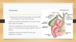 Carcinoma Gall Bbladder,introduction,pathogenesis,diagnosis,managment ...