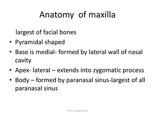 Carcinoma Maxillary sinus | PPTX