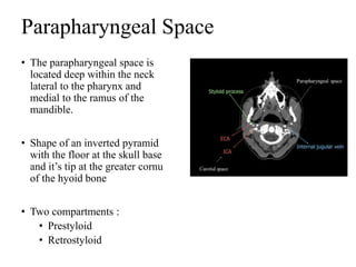 Carcinoma nasopharynx anatomy to management | PPTX