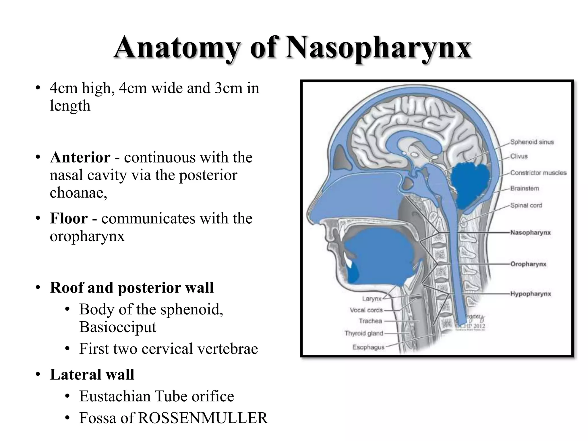 Carcinoma nasopharynx anatomy to management | PPTX