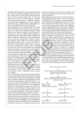 Carcinoma neuroendocrino del setto un rarissimo tumore nasale | PDF