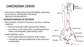 CARCINOMA OF CERVIX BY PRIYAKUMAR .pptx