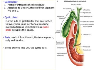 Management of cARCINOMA OF GALLBLADDER new.pptx
