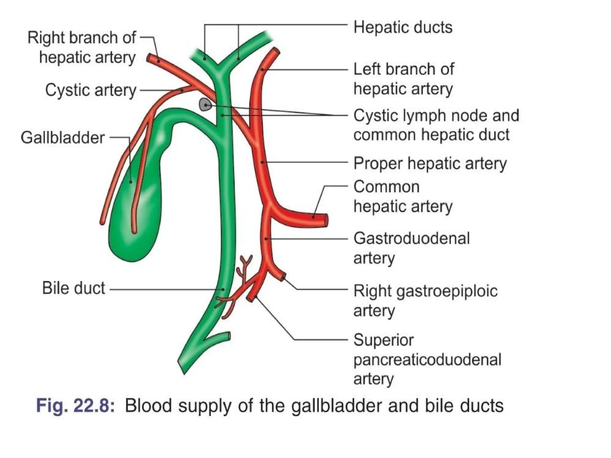 CARCINOMA OF GALLBLADDER new management.pptx