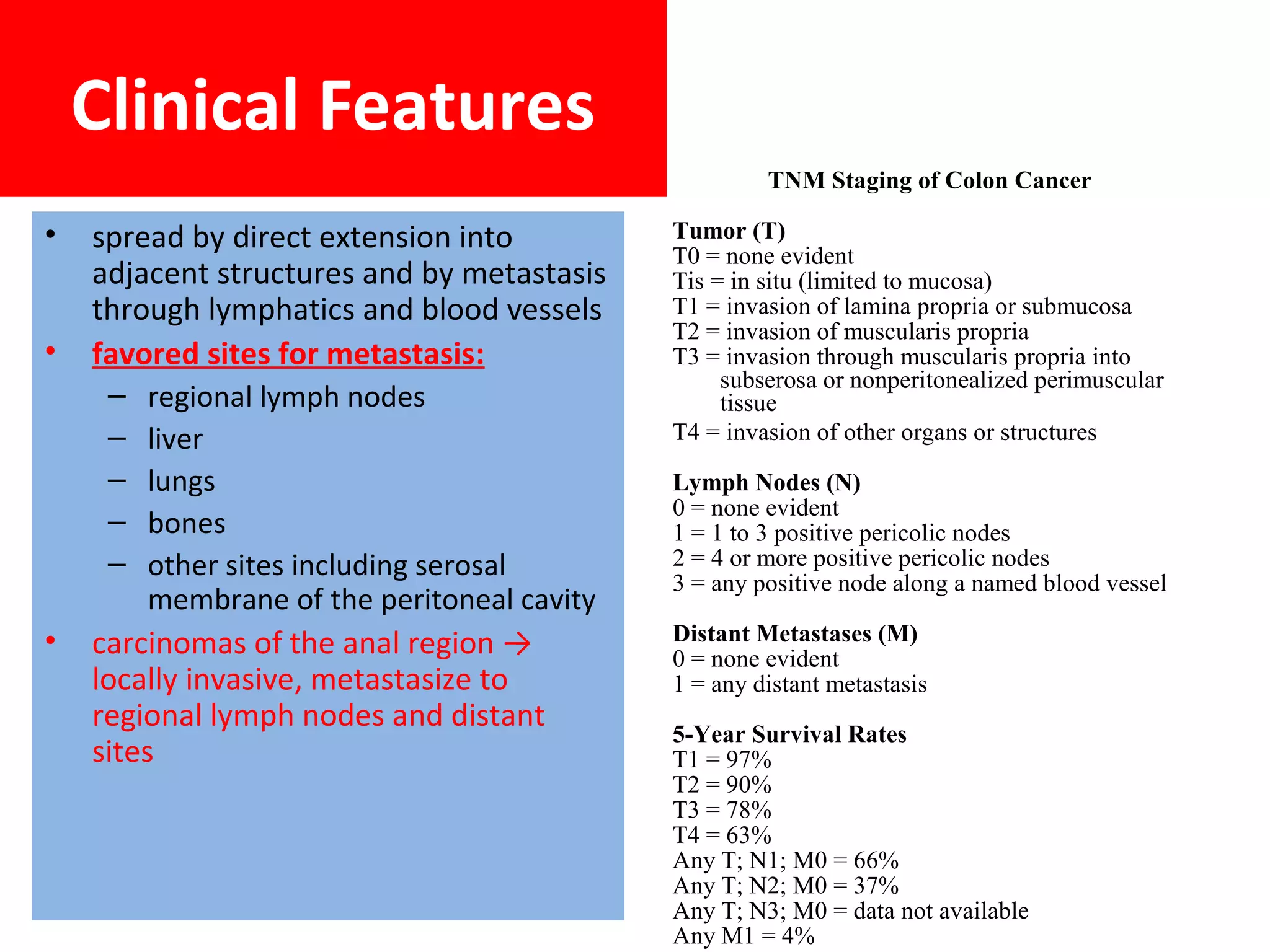 Carcinoma of large intestine, Colorectal Carcinoma (Adenocarcinoma) | PPT