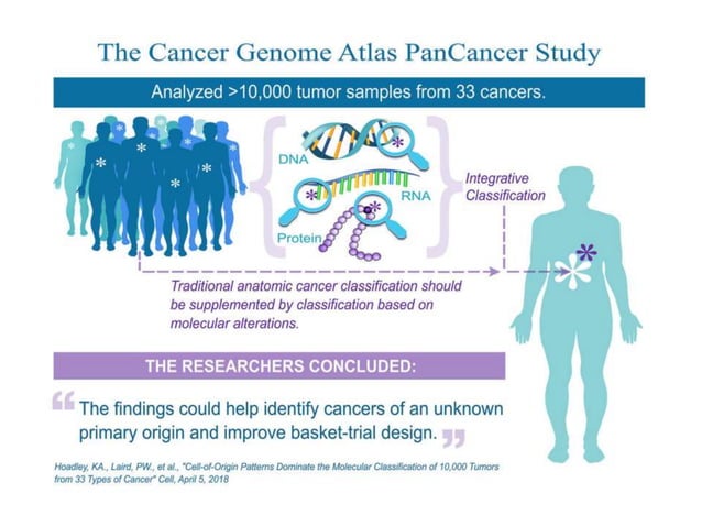 Carcinoma of unknown primary | PPT | Cancer | Diseases and Conditions