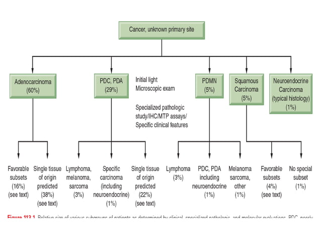 Carcinoma of unknown primary | PPT | Cancer | Diseases and Conditions