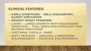 Carcinoma Penis. practical ppt 1234.pptx